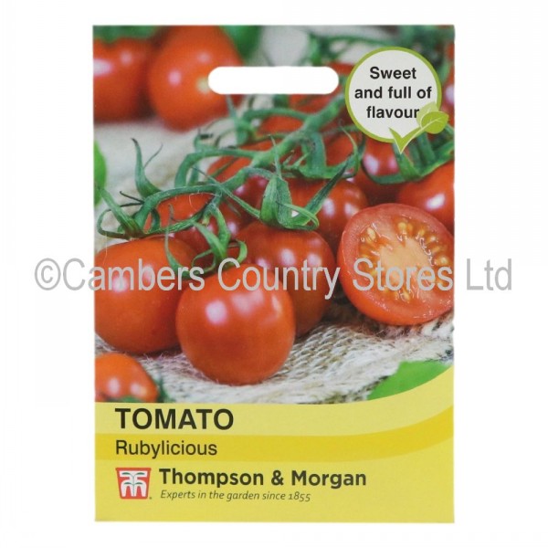 Thompson & Morgan Tomato Rubylicious | Cambers Country Store